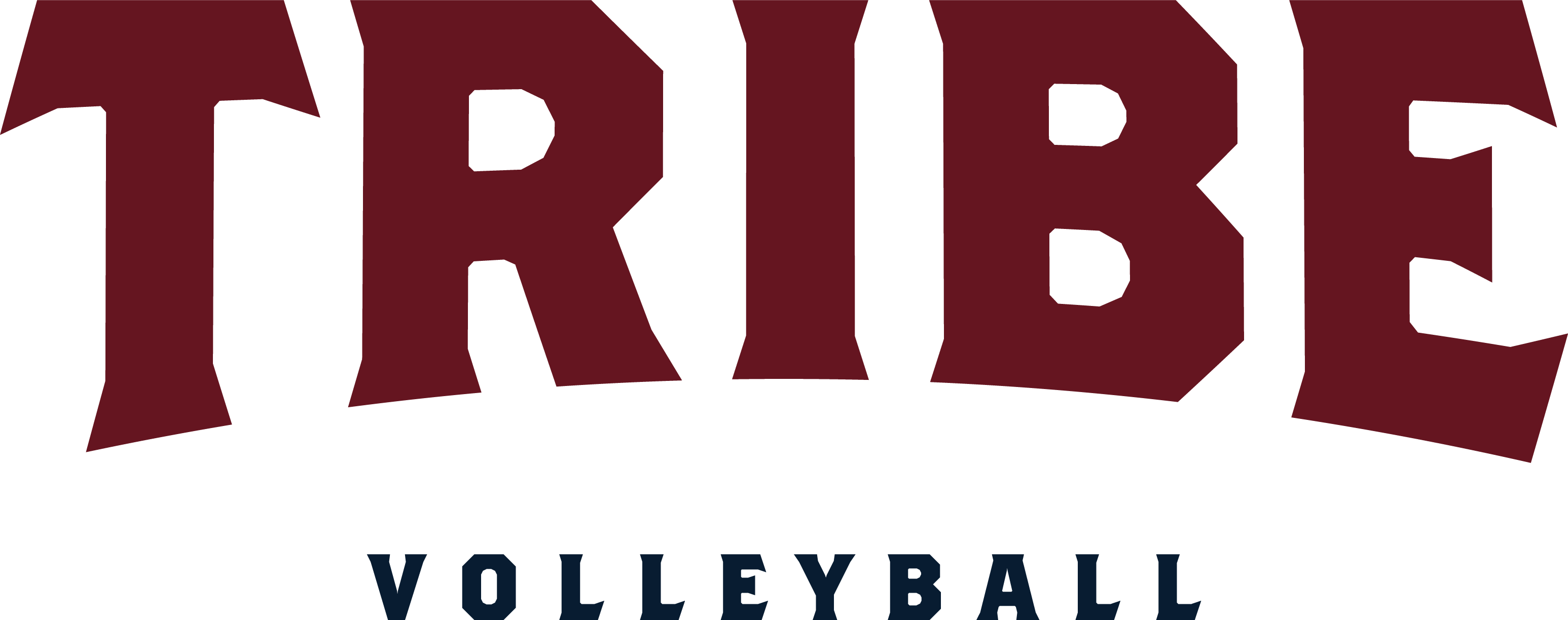 Get to Know 3STEP’s Volleyball Organizations | Playeasy