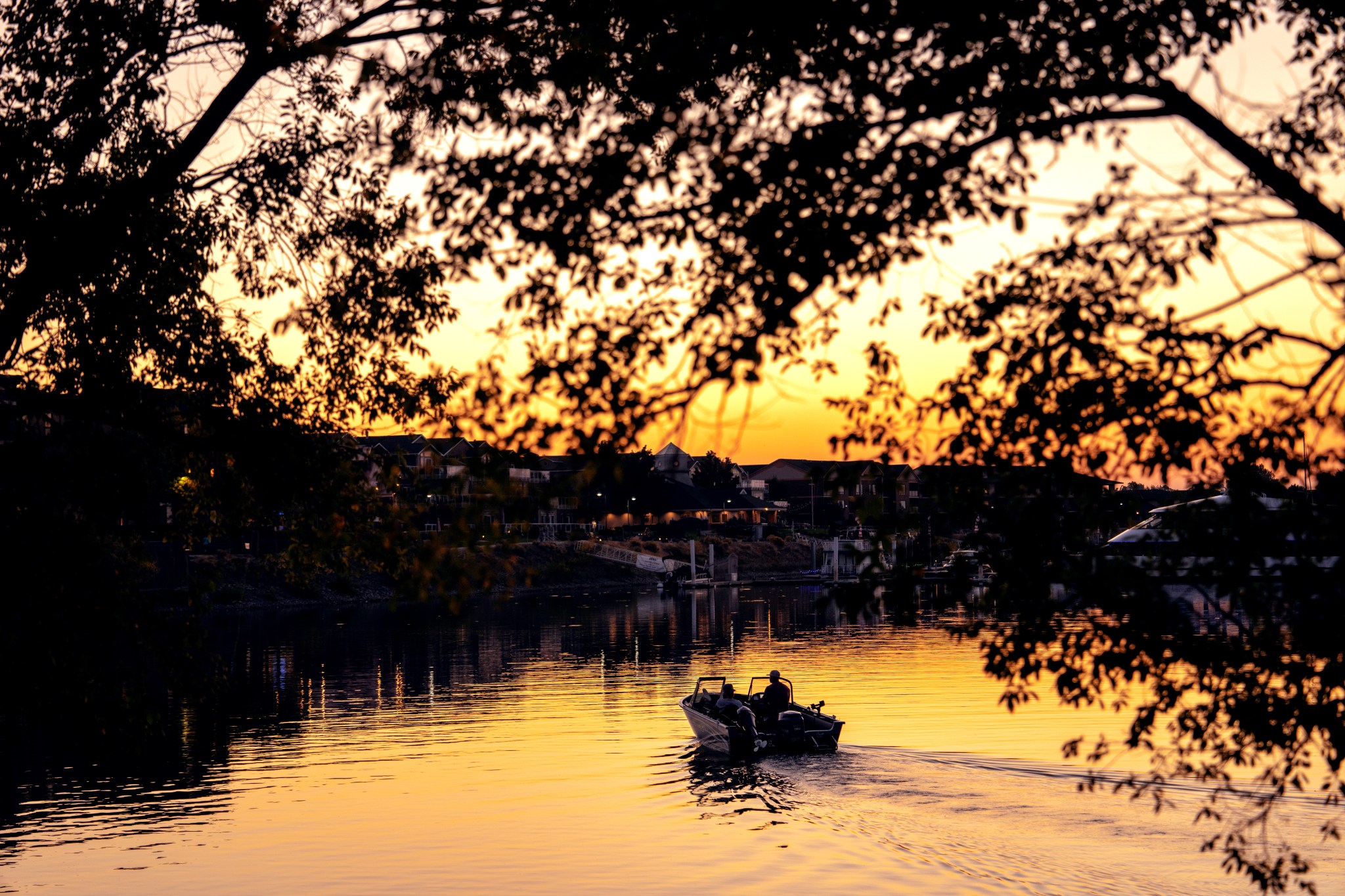 The Best Tri-Cities Fishing: Exploring Abundant Waters and Picturesque ...