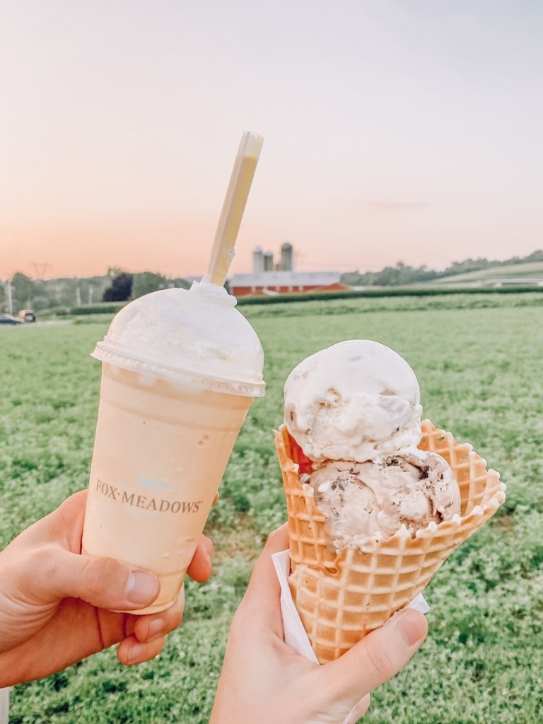 Discover 30+ Ice Cream Spots in Lancaster County – Playeasy Stories